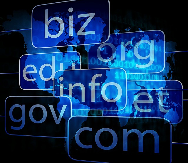 Simplelists Blog How To Use Your Own Domain When Using Simplelists 